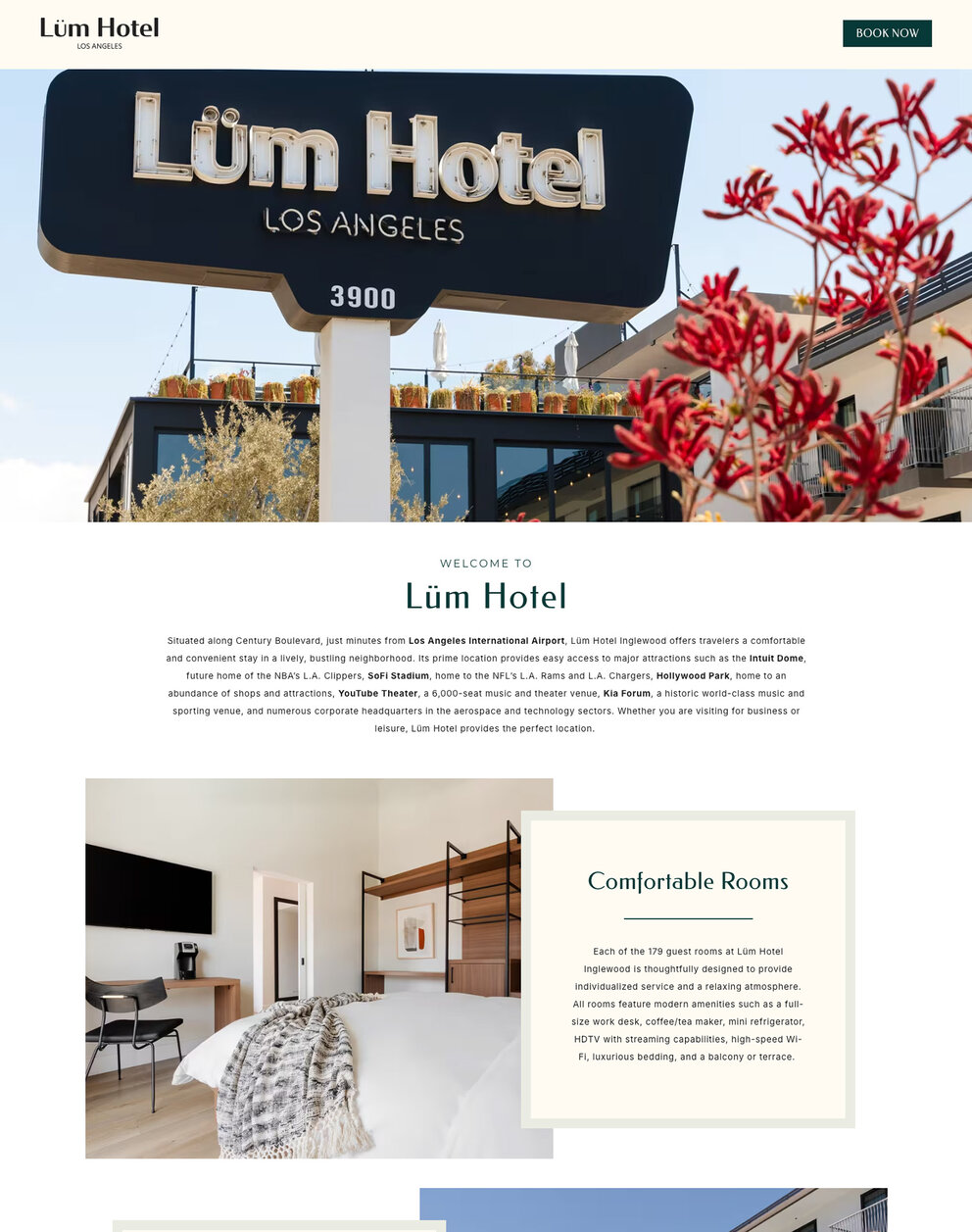 Hotel Website Design by Vizergy Digital Marketing